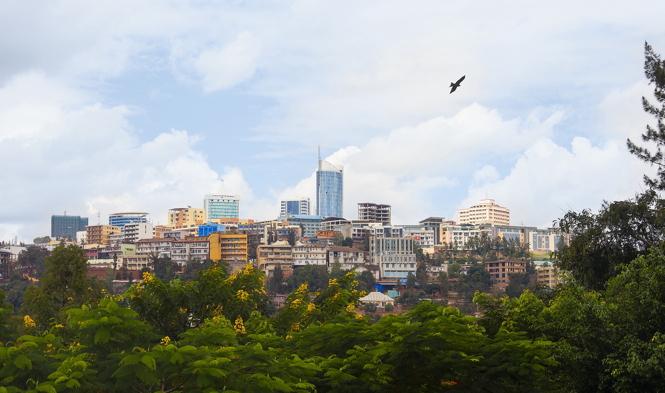 Devenir commanditaire ou tenir un stand d’exposition - International ...
