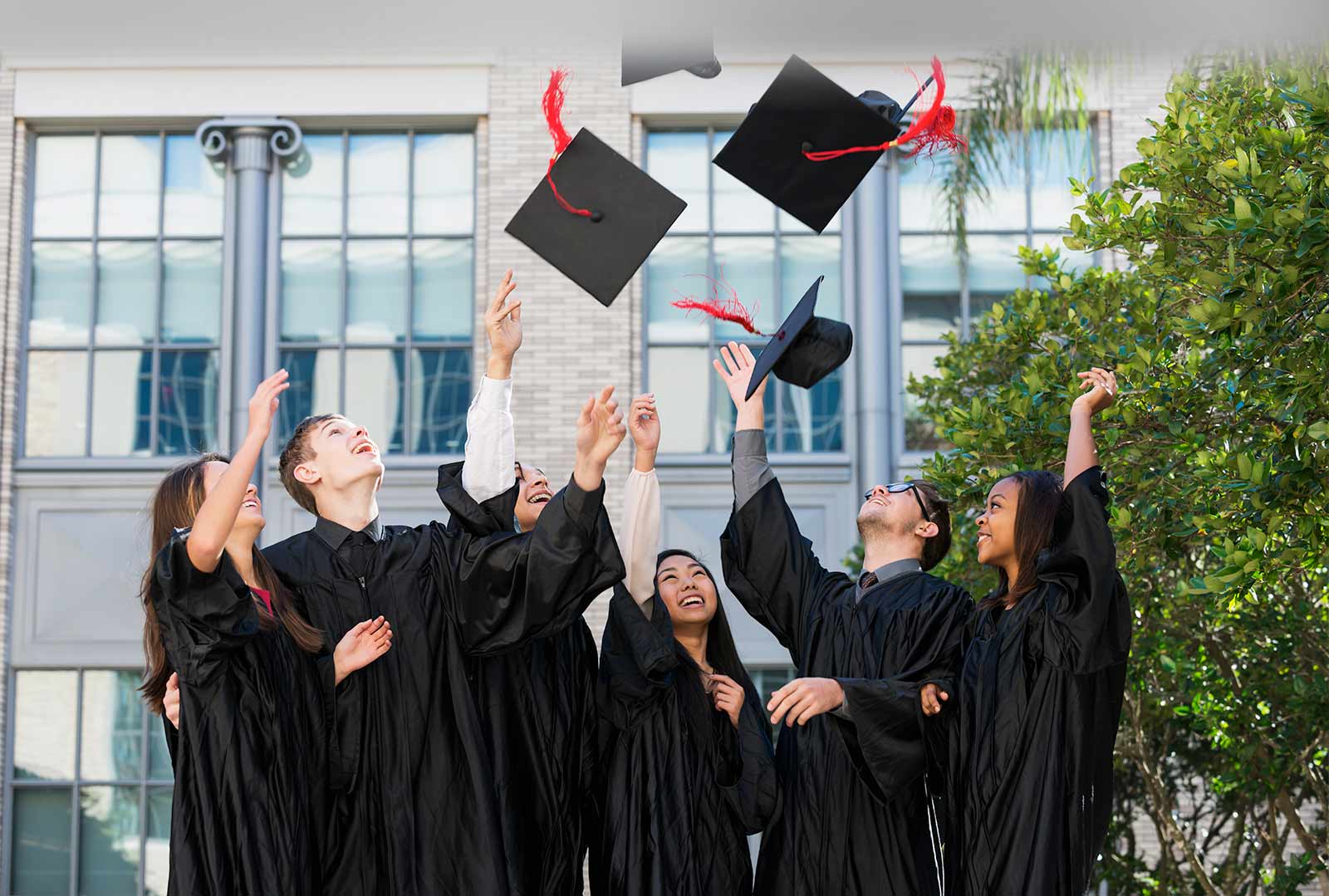 Are you an IB graduate? - International Baccalaureate®