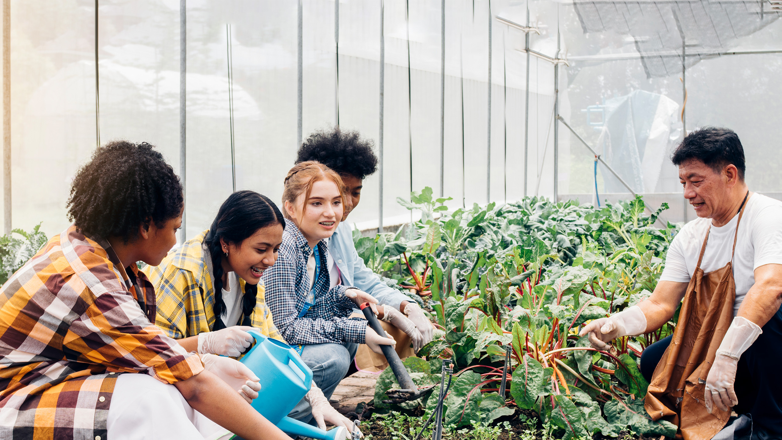 IB partners with SDSN Youth to galvanize social entrepreneurship and ...