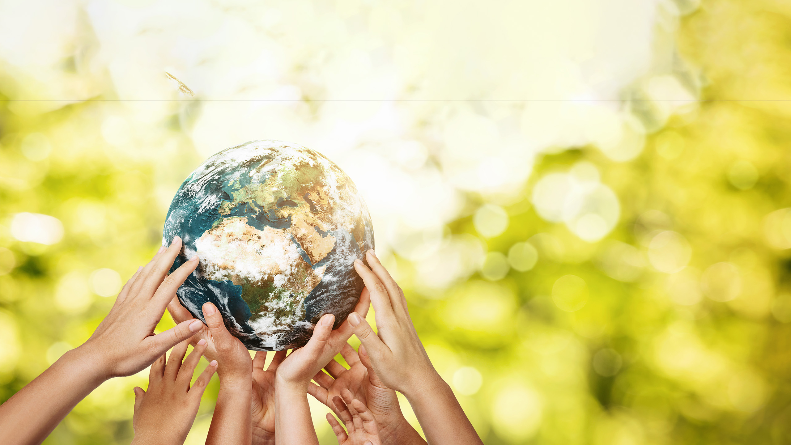 Environmental systems and societies updates - International Baccalaureate®